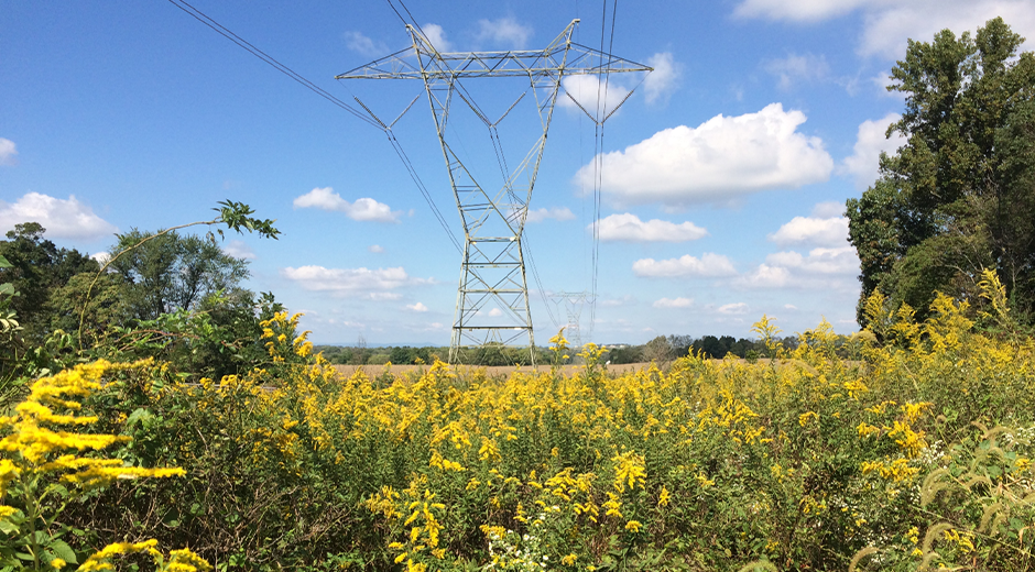 FirstEnergy Commitment to Sustainability Recognized with Right-of-Way ...