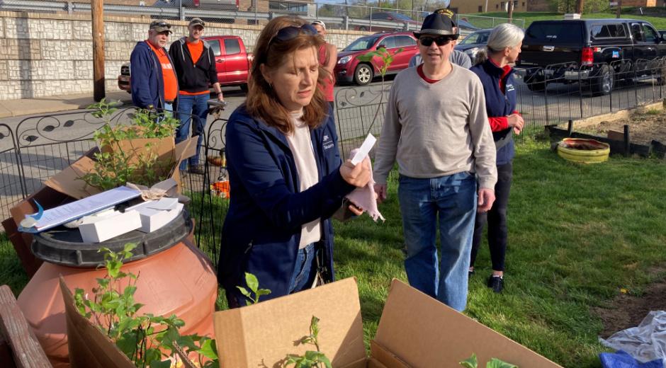 Free Trees from West Penn Power: A Real Ice Breaker